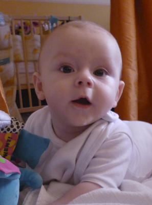 Tóth Áron - CsaládiVilág